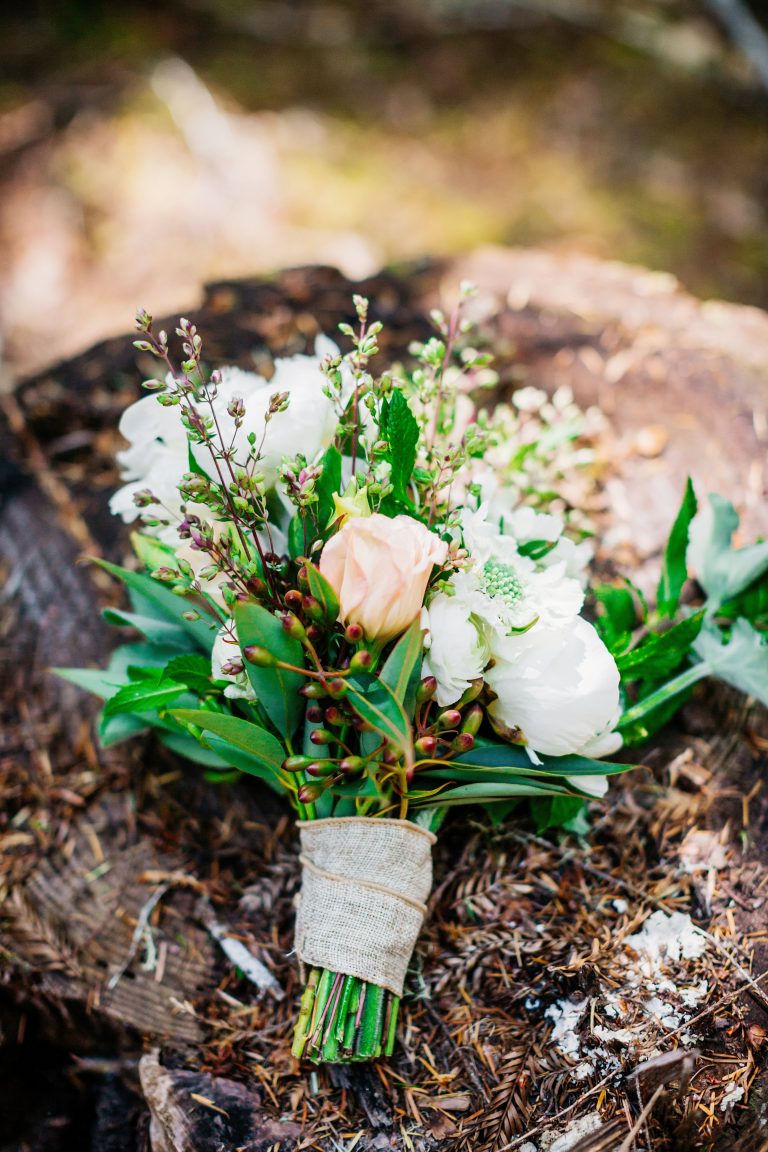 Bluma The Artful Botanic